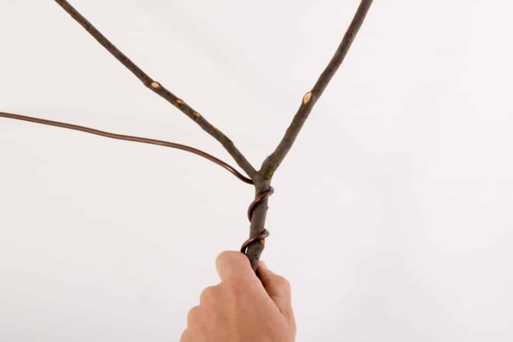 How to wire a Y branch intersection - Bonsai Tonight