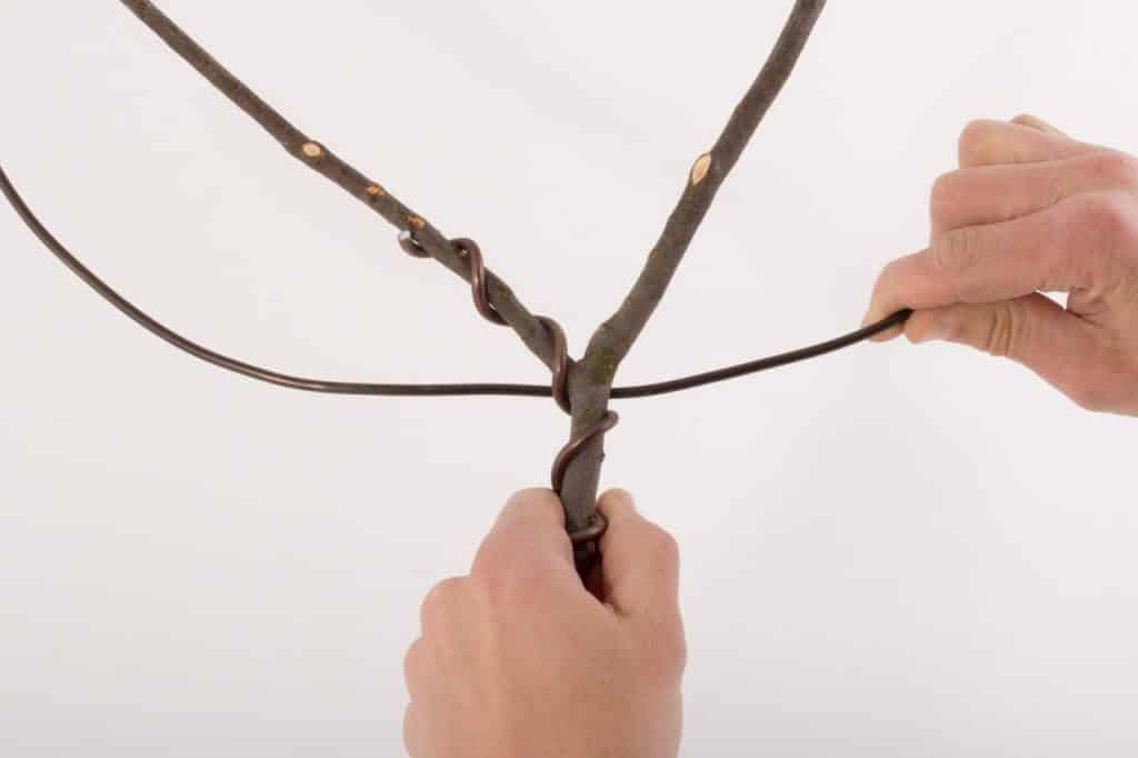 How to wire a Y branch intersection - Bonsai Tonight