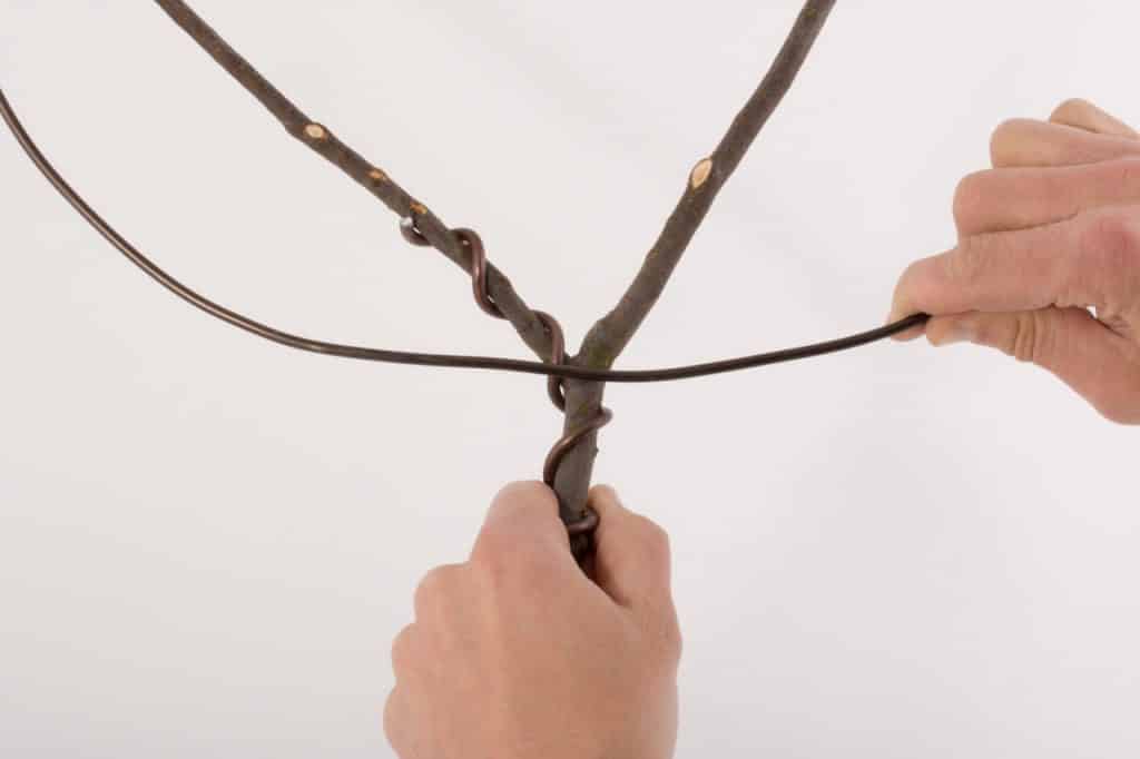 How to wire a Y branch intersection - Bonsai Tonight