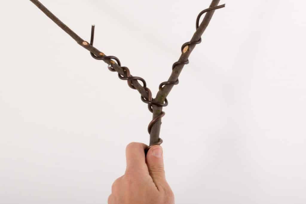 How to wire a Y branch intersection - Bonsai Tonight