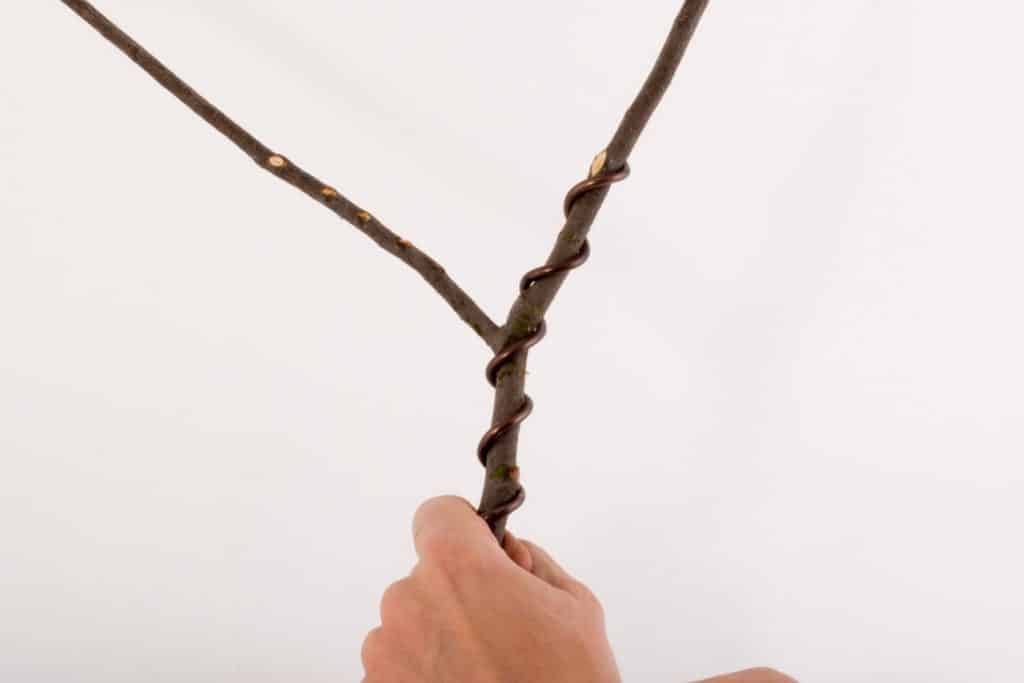 How to wire a Y branch intersection - Bonsai Tonight