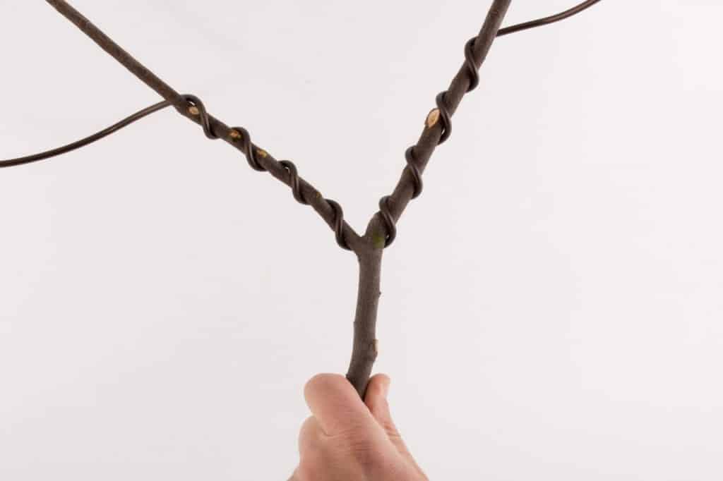 How to wire a Y branch intersection - Bonsai Tonight