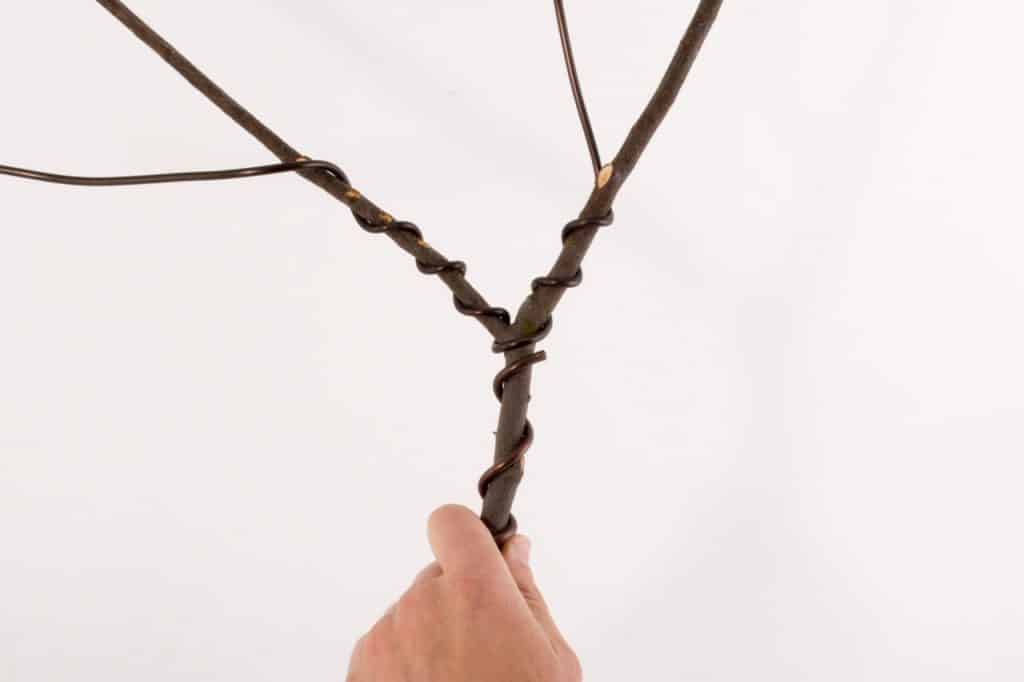 How to wire a Y branch intersection - Bonsai Tonight