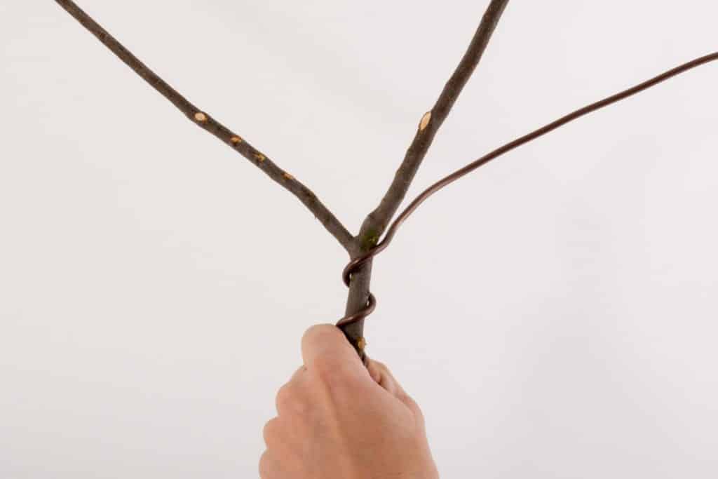 How to wire a Y branch intersection - Bonsai Tonight