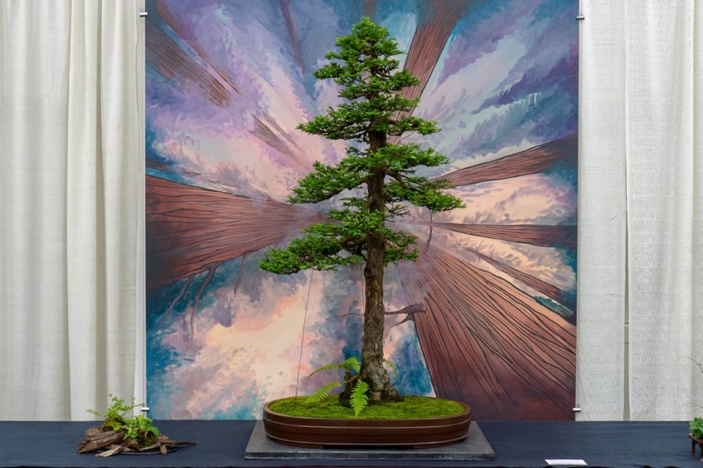 Highlights from the 6th U.S. National Bonsai Exhibition - Bonsai Tonight