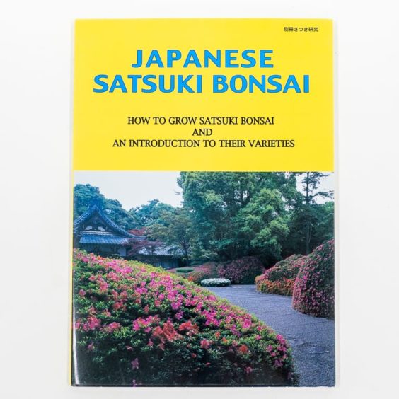 Thinning a mature satsuki azalea - Bonsai Tonight